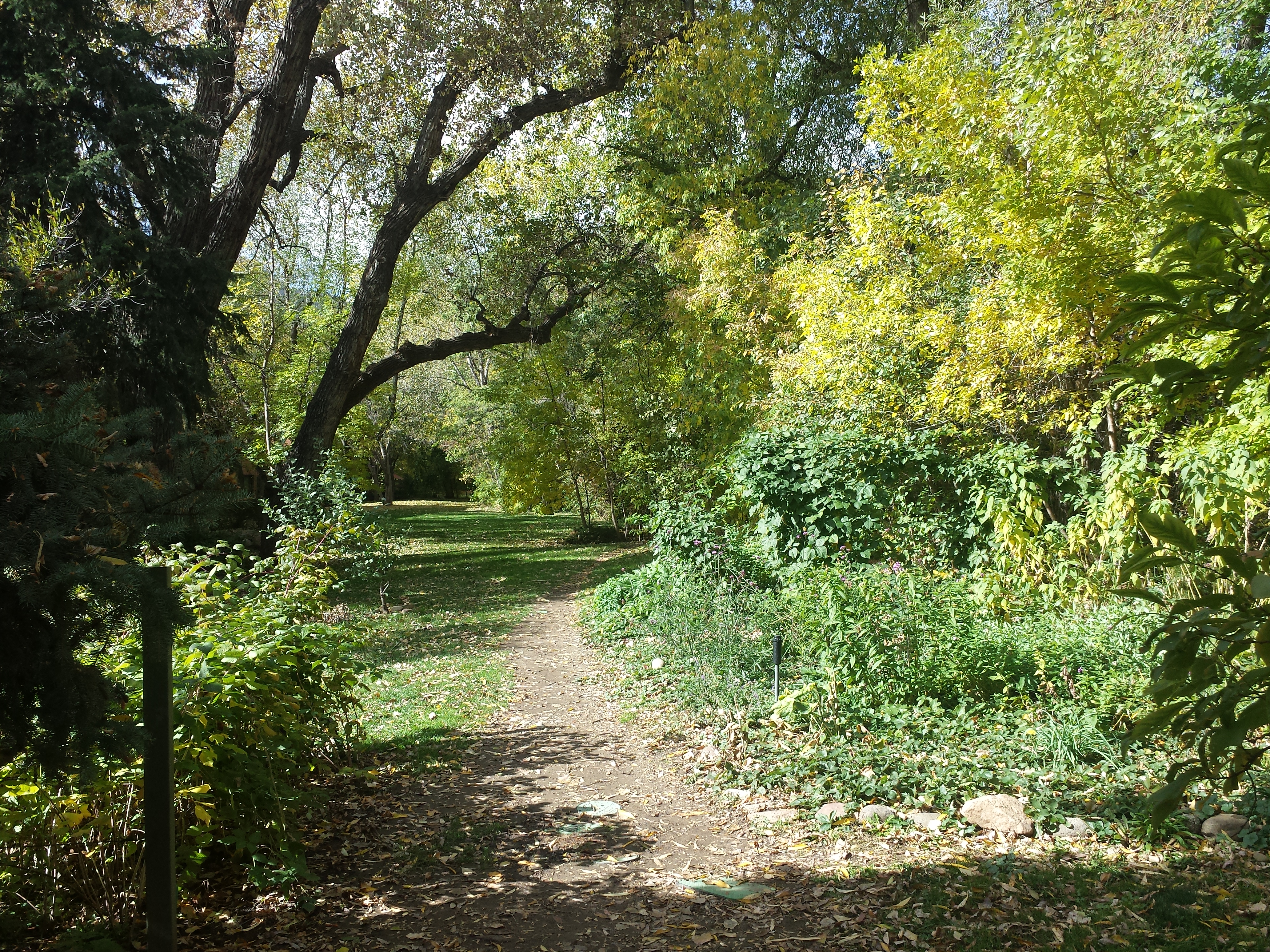 First Step Estate Planning - Perlick Legal Counsel